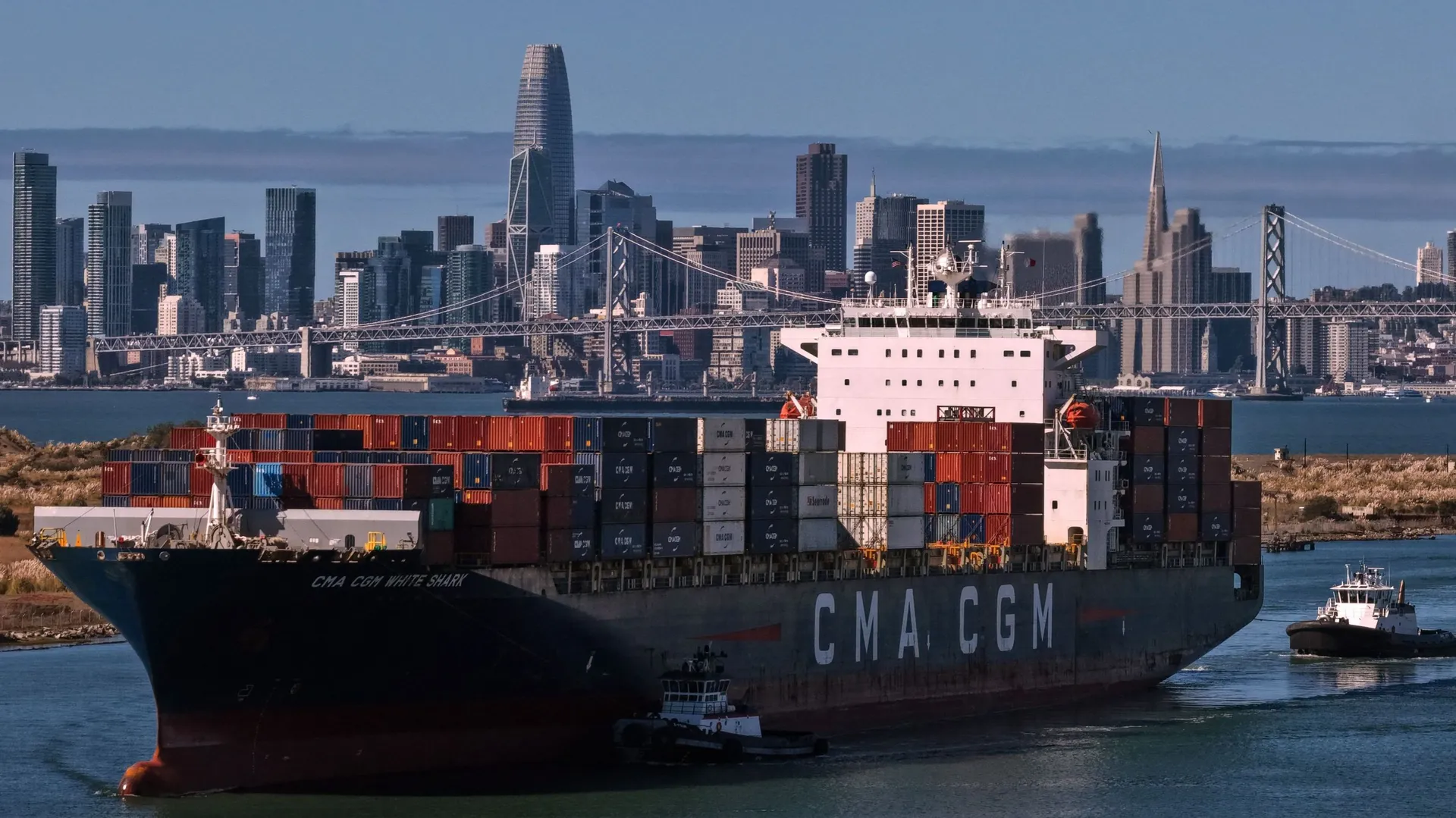 'Le journalisme est devenu un sport extrême': libéré après 4 ans de ...