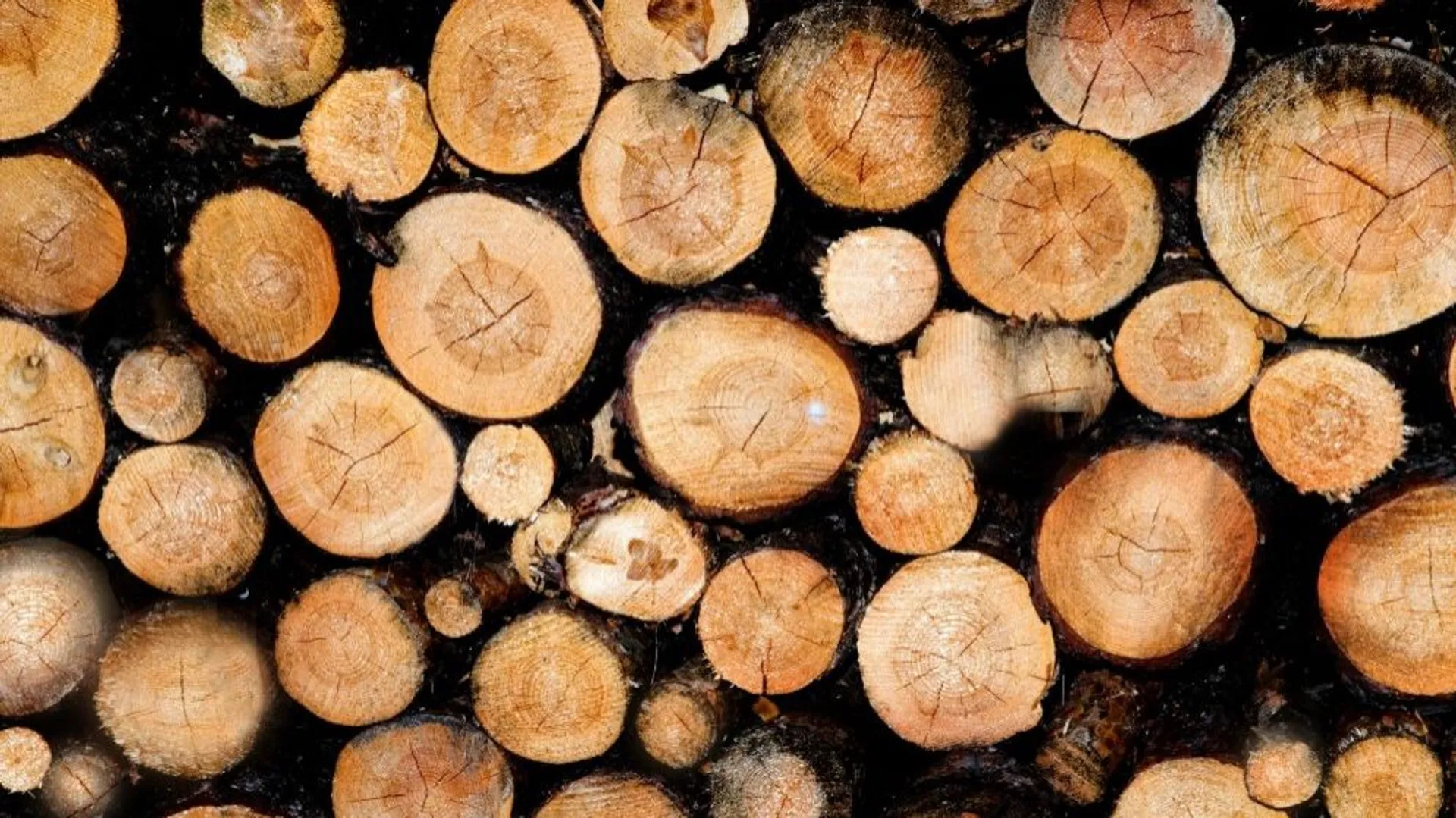 Vous n'avez pas été convoqués pour le contrôle technique ? Il est ...