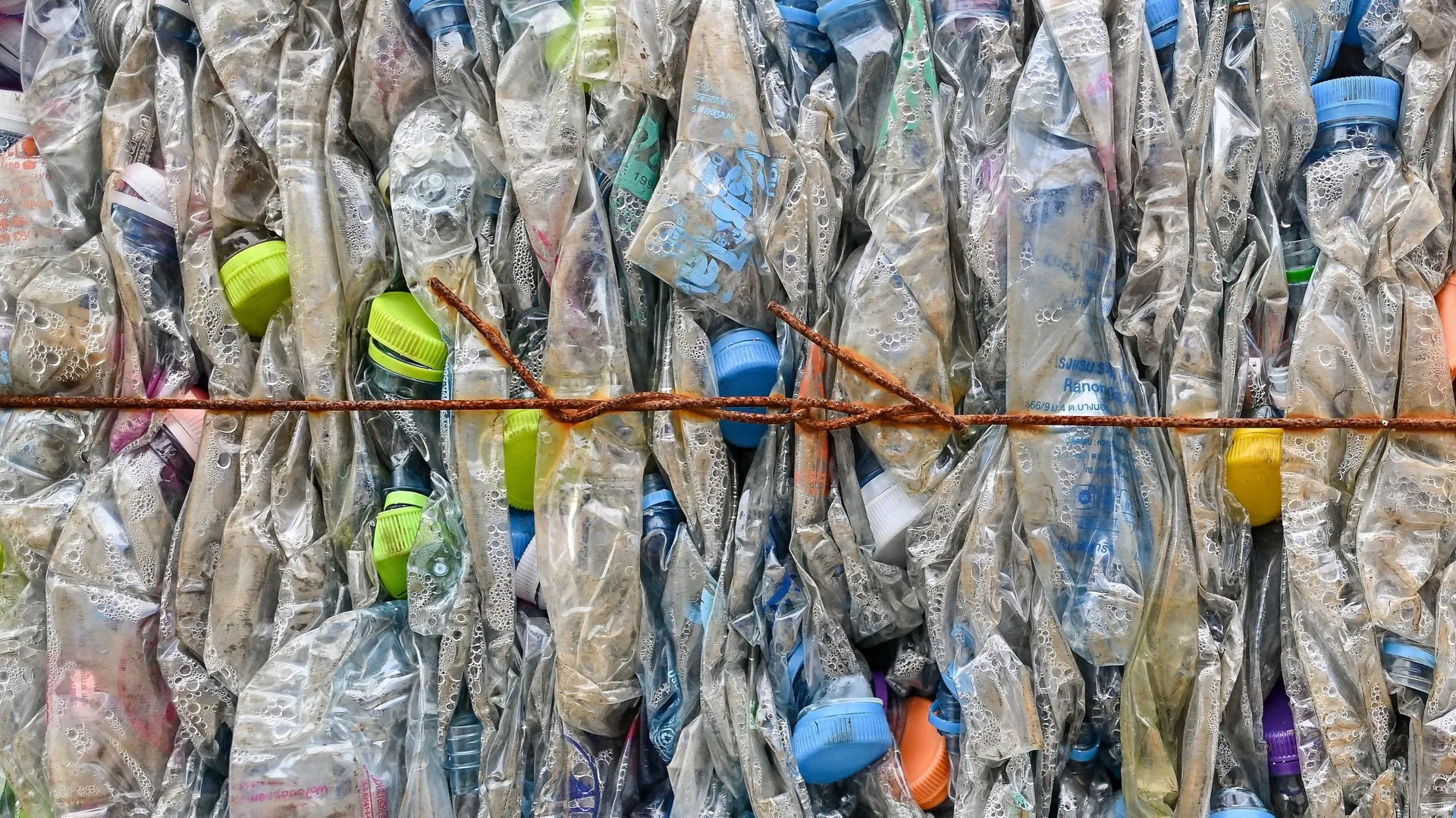 De nombreux microplastiques dans les fleuves européens : une nouvelle étude détaille cette ...