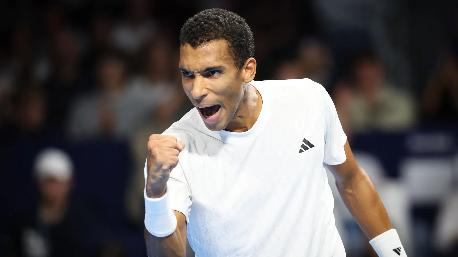 Steve Darcis : 'On a des joueurs exceptionnels, et il faut rêver d’un jour gagner la Coupe Davis ...