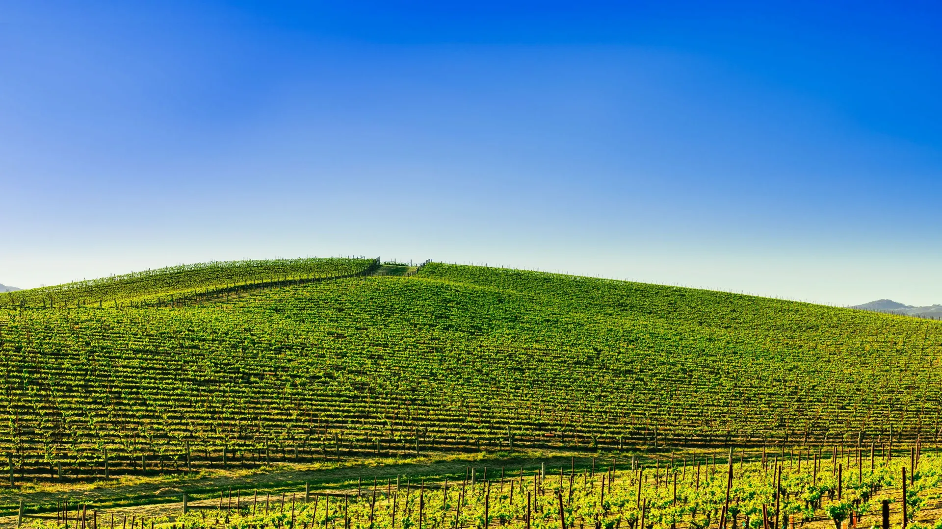 Voici l’histoire et le lieu exact de la célèbre colline du fond d’écran ...