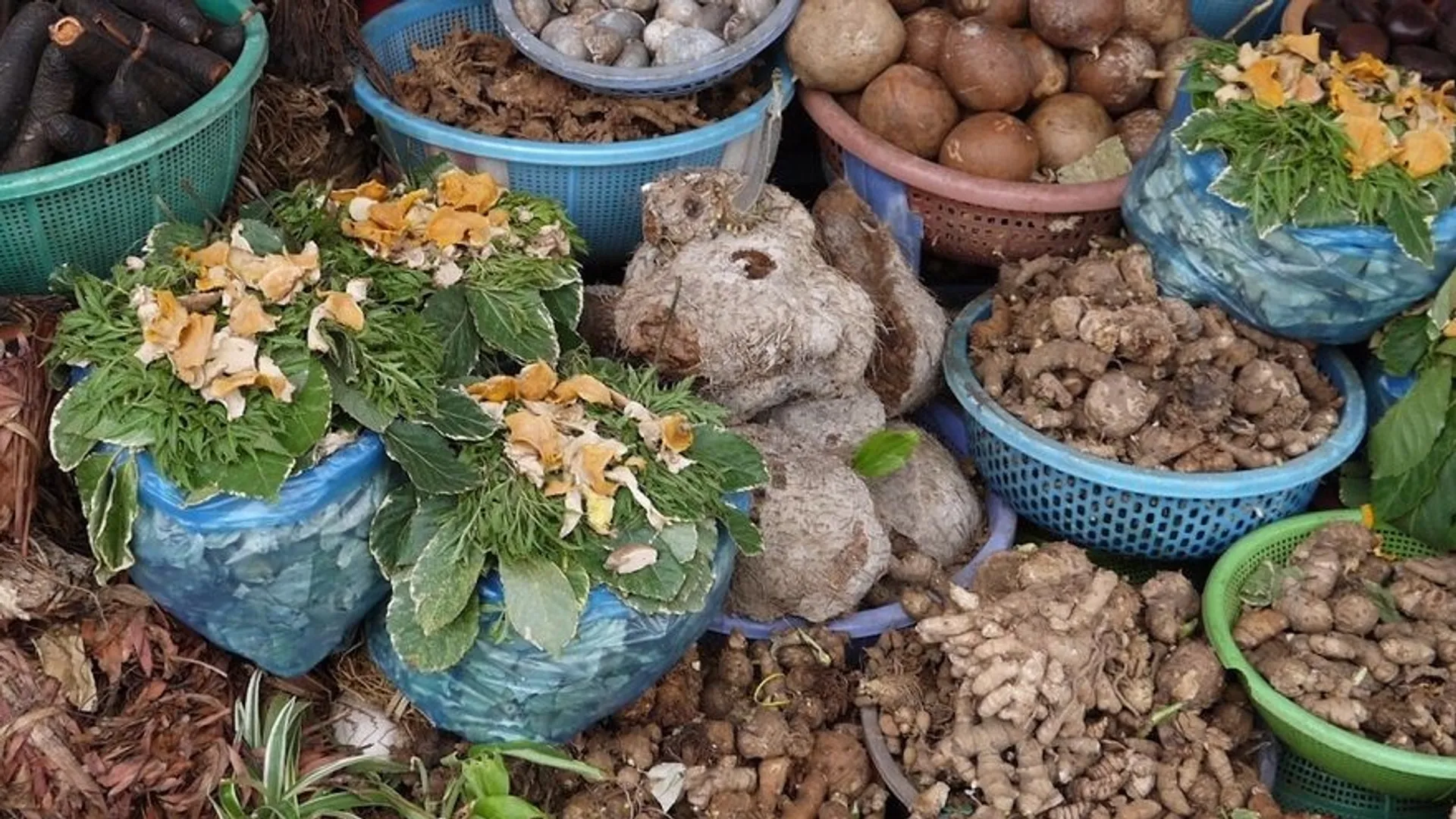 Histoire - RTBF Actus