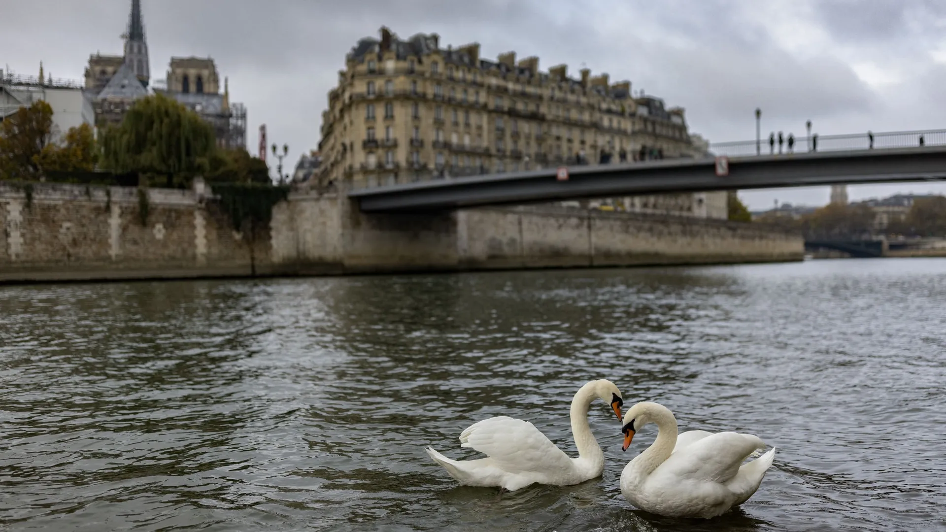 De nombreux microplastiques dans les fleuves européens : une nouvelle étude détaille cette ...
