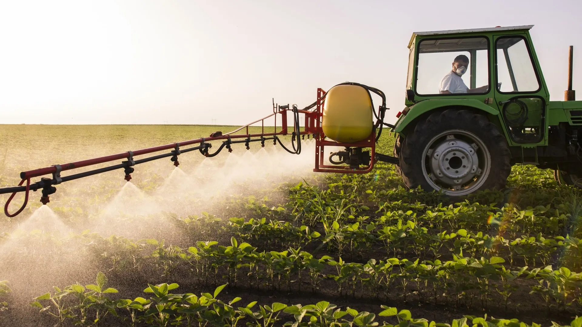 Dès ce premier août, les Bruxellois devront apprendre à se passer de pesticides dans leur jardin ...