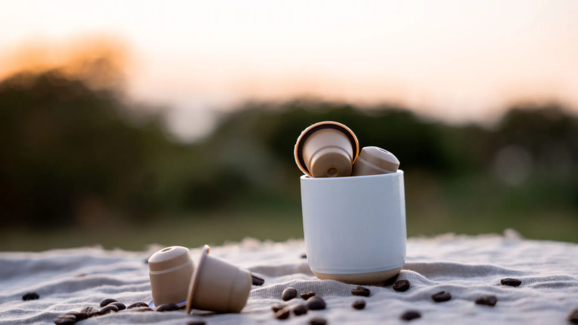 Sunshine Coffee : la capsule bio et compostable née d’une amitié ...
