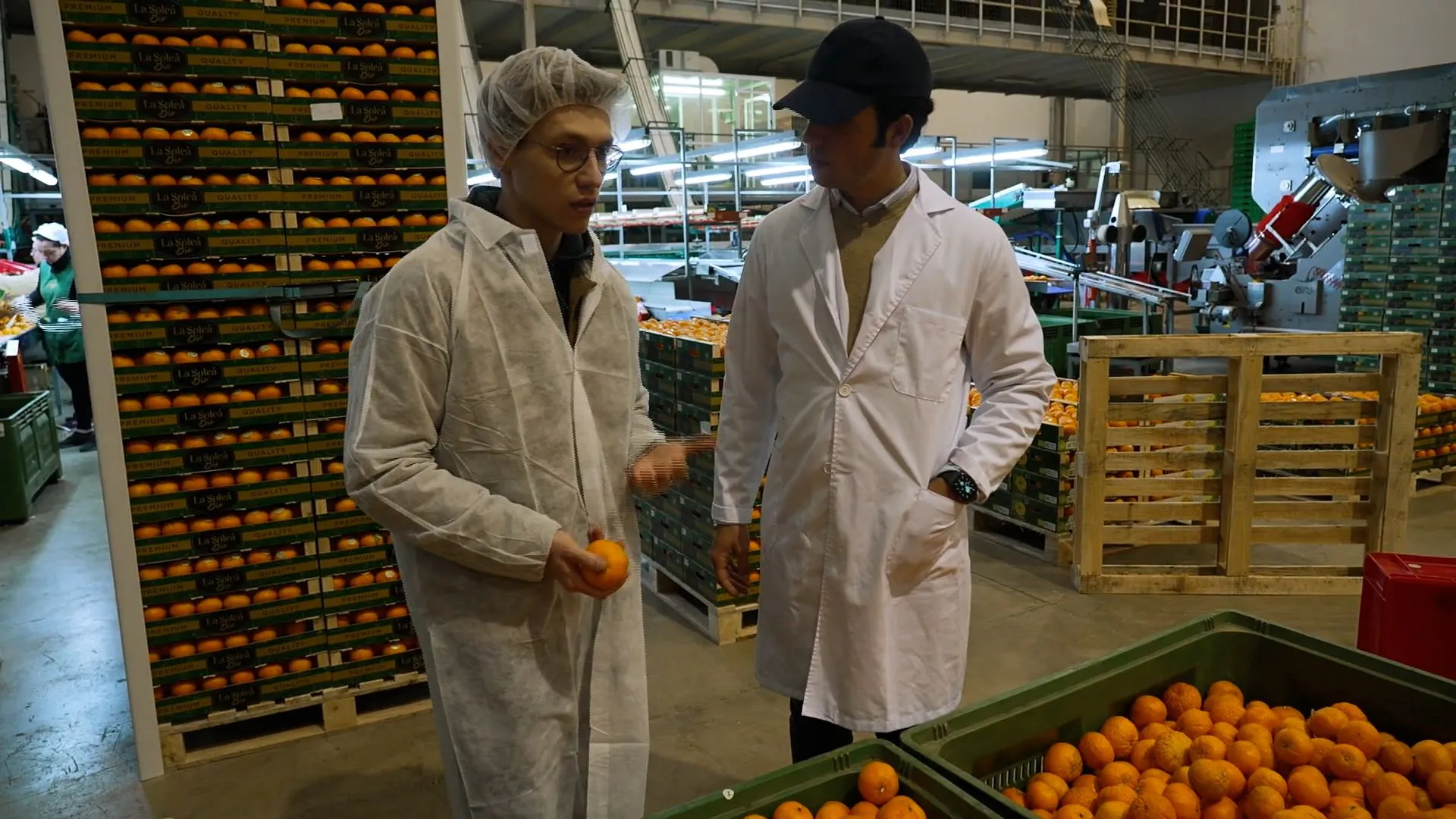 Au cœur du plus grand marché de produits frais au monde : portraits de ...