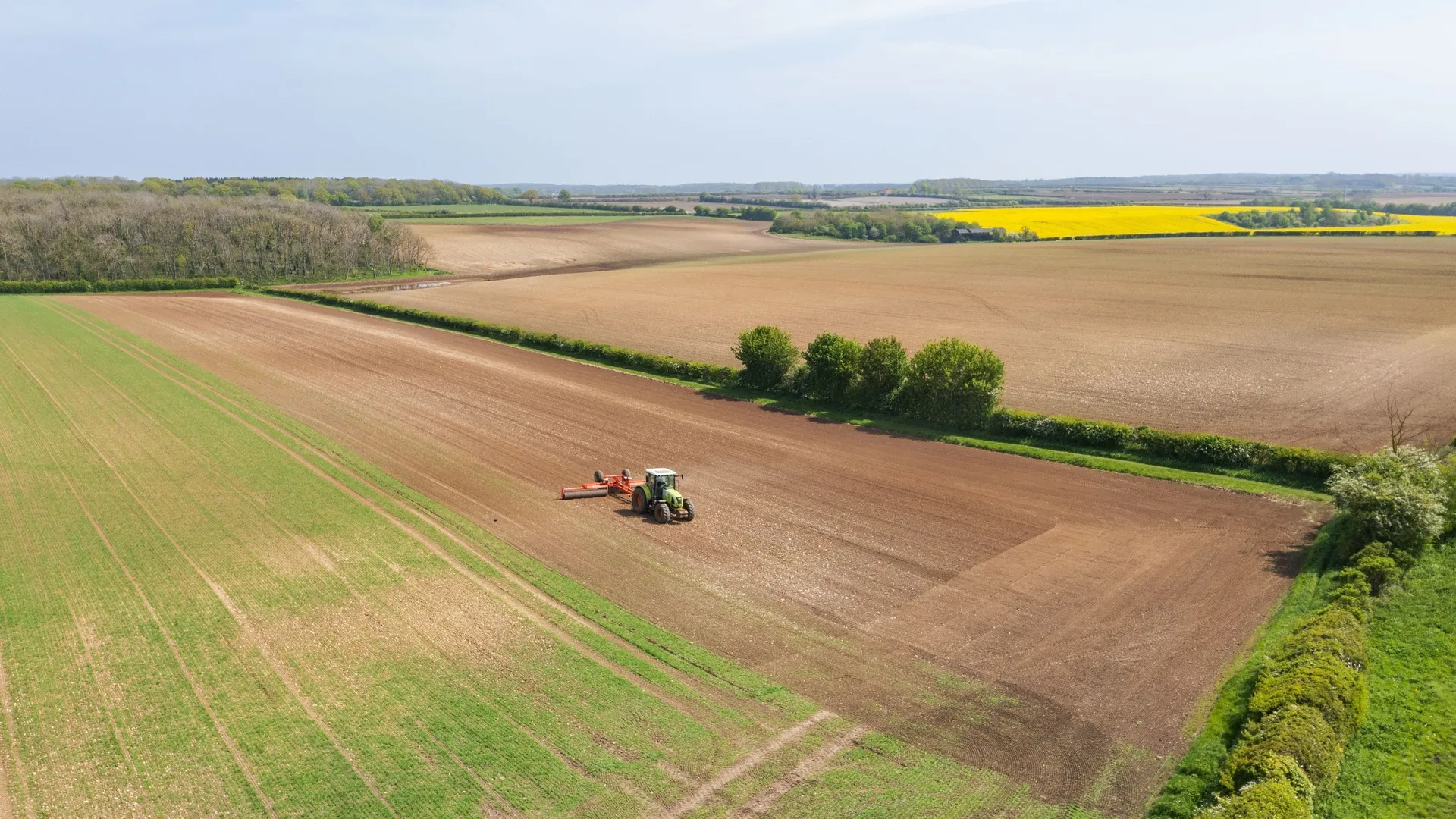Le plan B des agriculteurs : golf fermier, ferme florale, drive-in ...