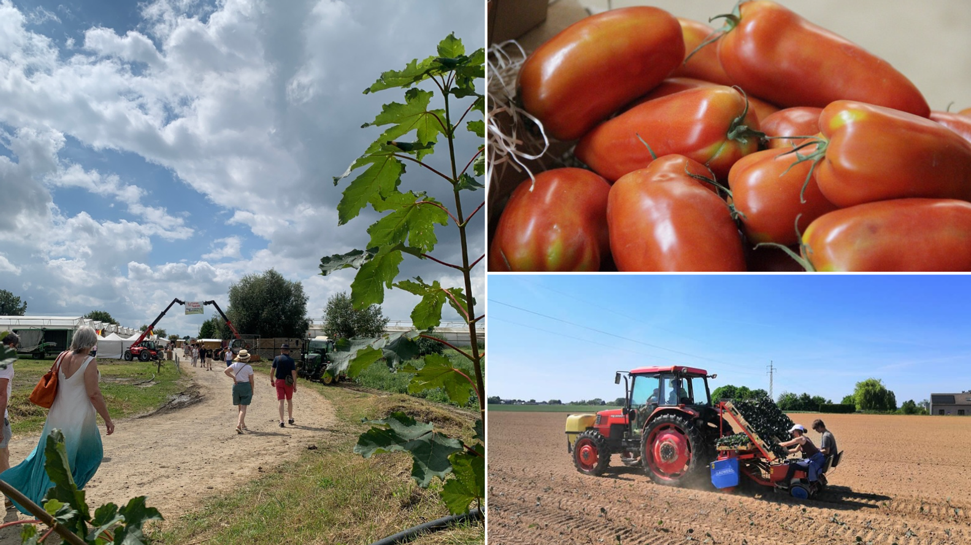 Emily black nude videos pictures a bit not recent but she