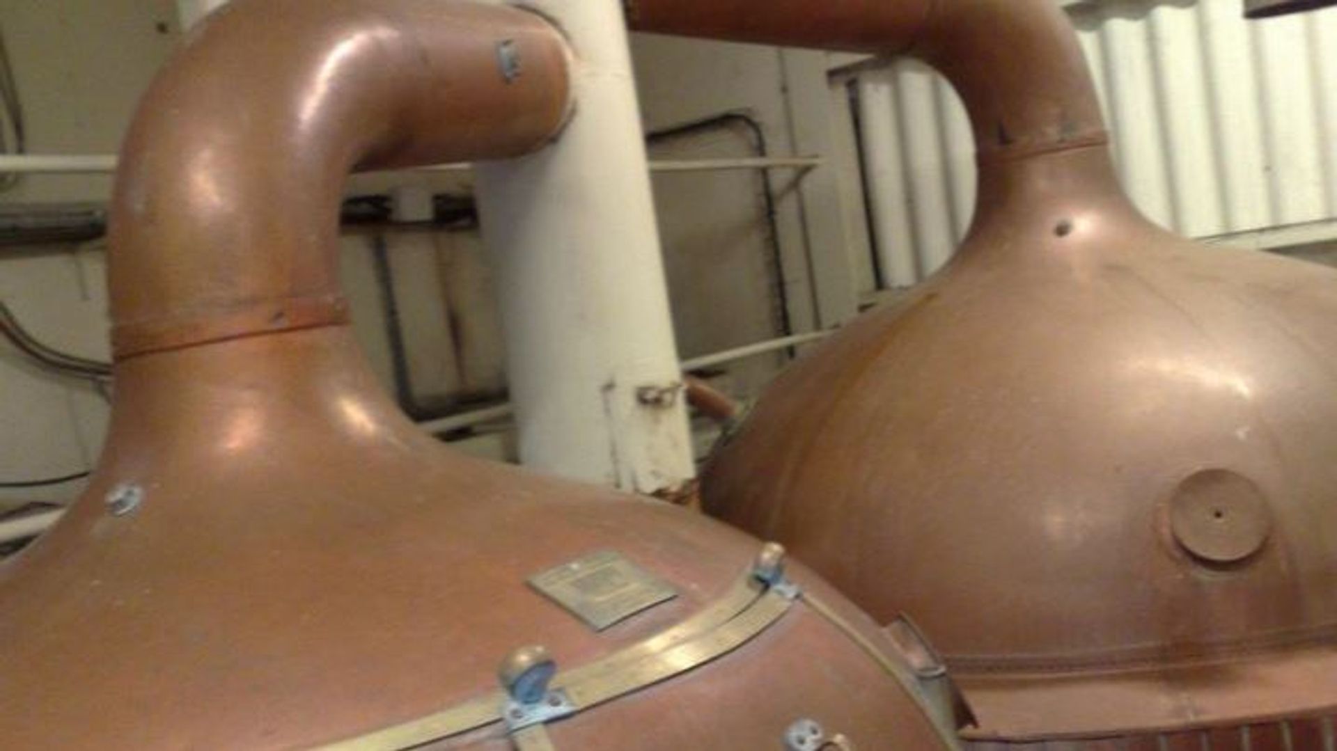 Tournai: le succès des formations en microbrasserie à l'IFAPME - RTBF Actus