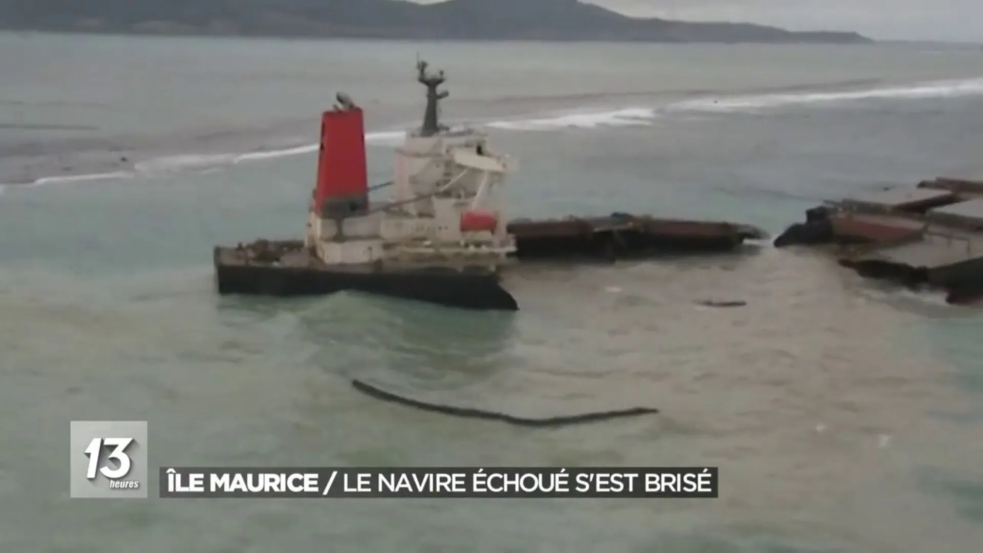 Treize dauphins retrouvés morts à l'île Maurice suite au naufrage du MV ...