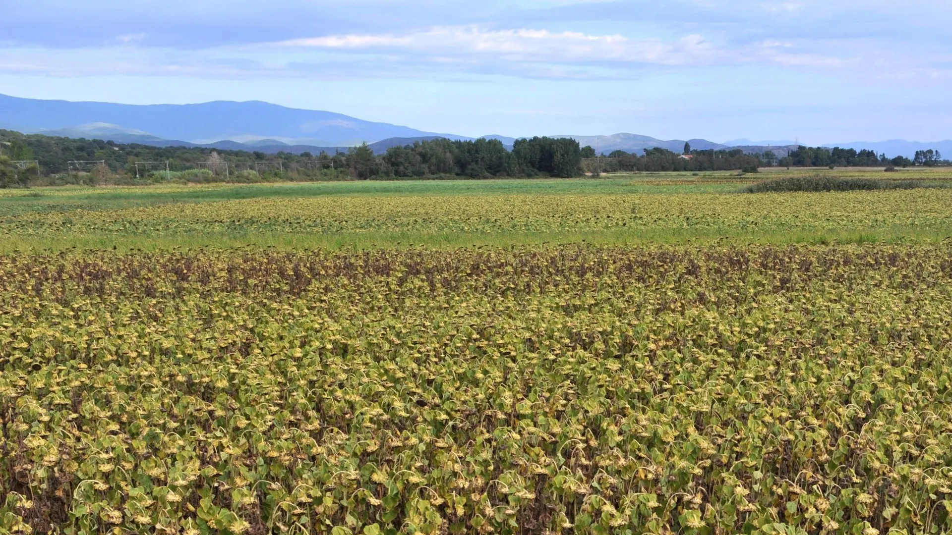 Grèce : grève générale contre un projet de journée de travail de 13 ...