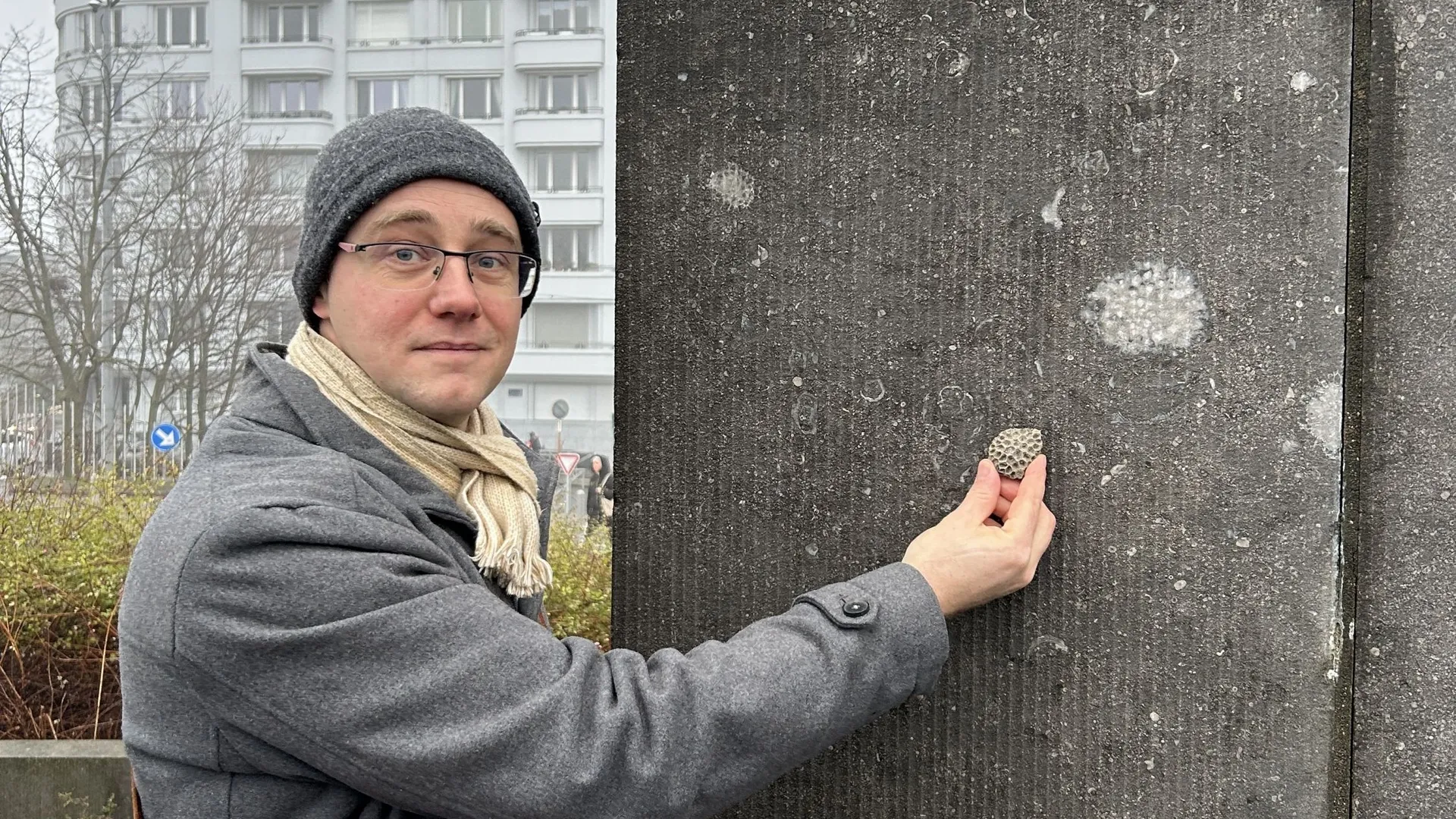 'Fossiles en ville' : l'Agence Tourisme à la recherche des fossiles ...