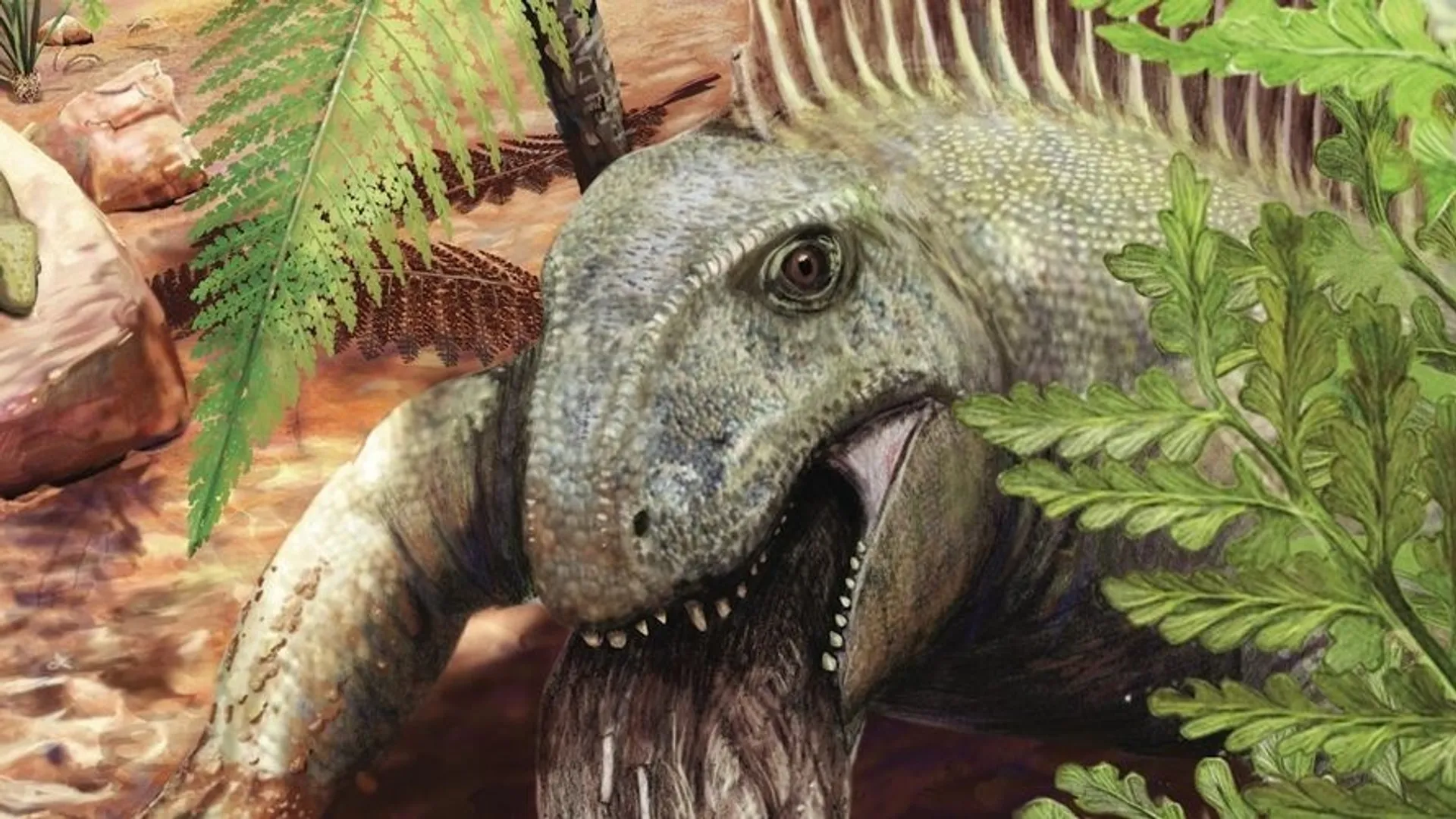 Le plus ancien vomi fossile d'un animal terrestre nous indique le menu ...