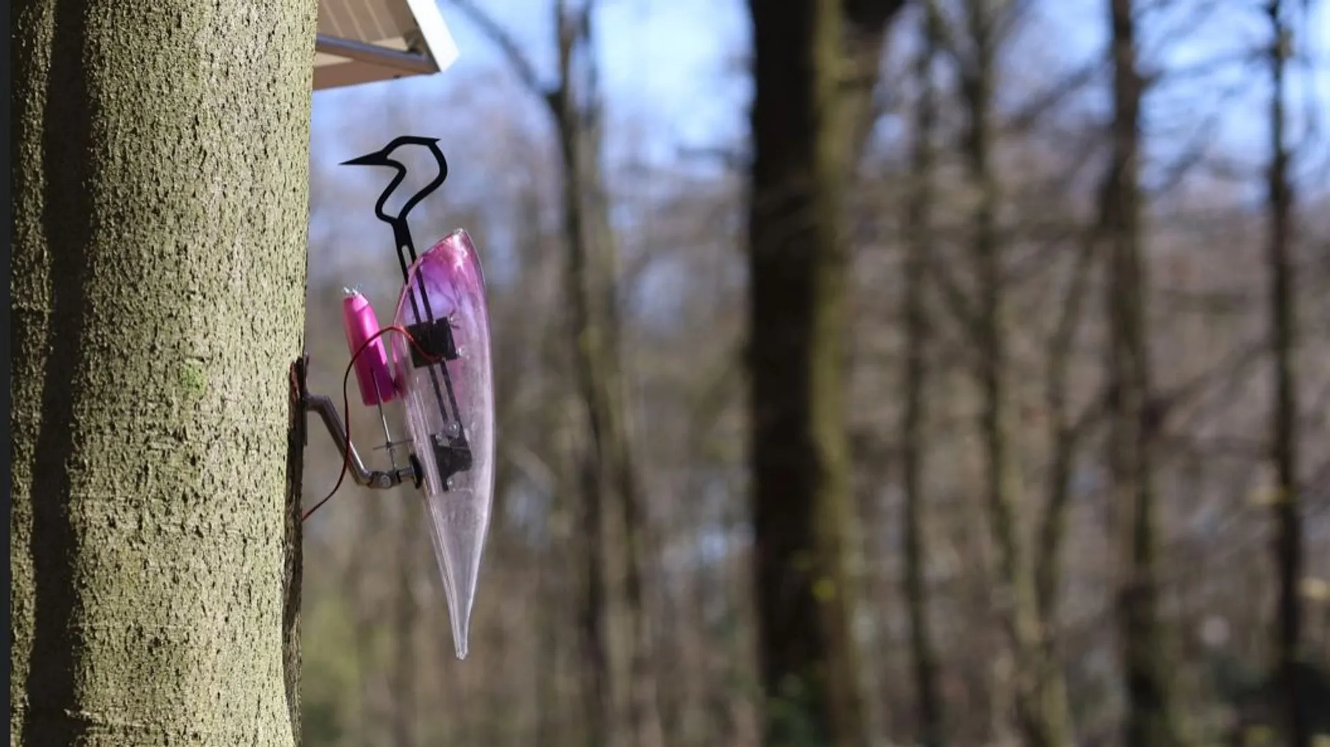 Les activités du week-end du 5 au 7 septembre en Wallonie et à ...