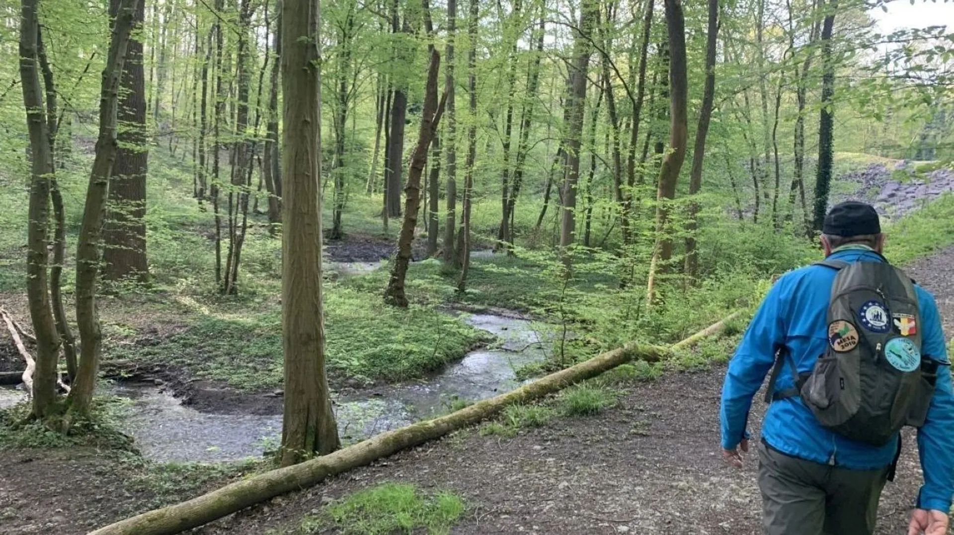Les 7 marches fédérales organisées en Wallonie cette semaine - RTBF Actus