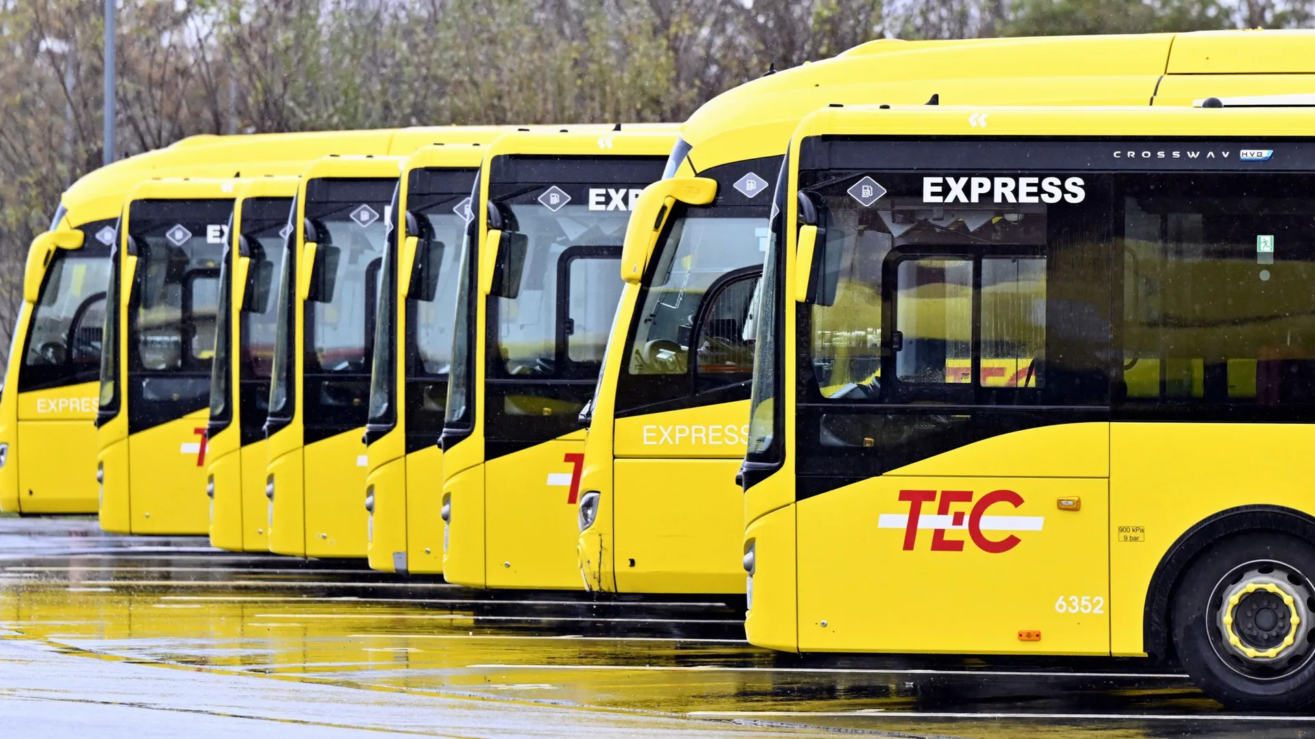 Réseau bus TEC : la grève se poursuivra la semaine prochaine dans le ...