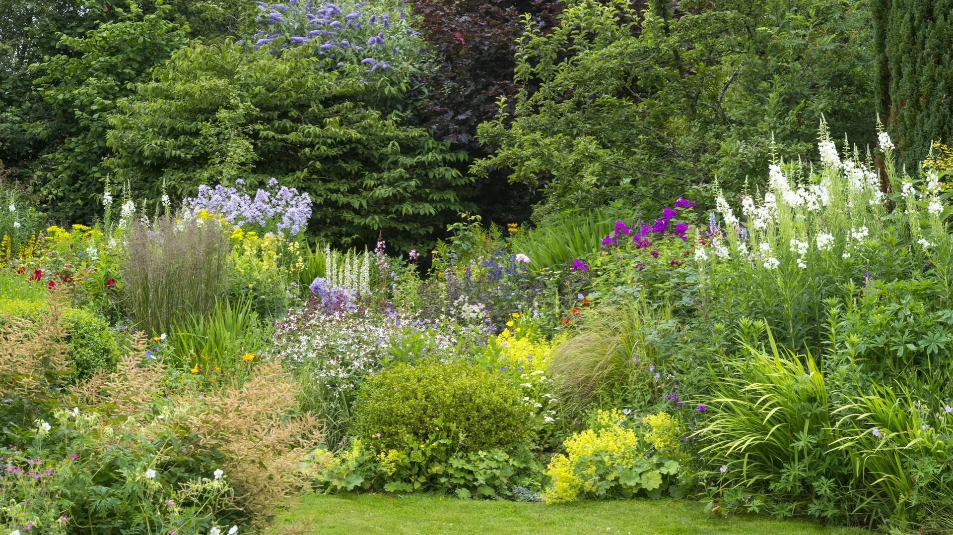 Lexique du sol : les termes essentiels pour le jardinier - RTBF Actus