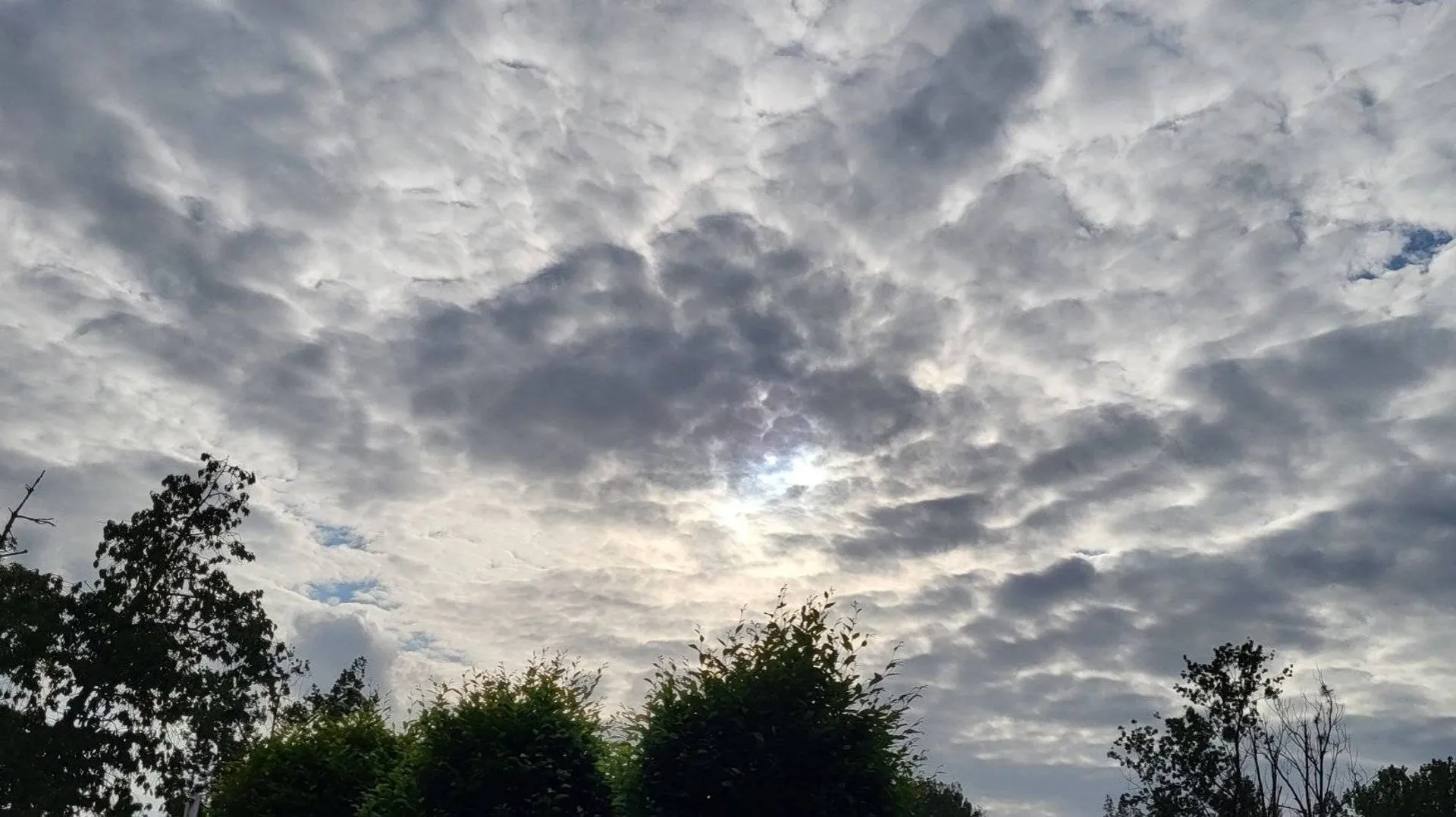 Quels sont les différents types d’arc-en-ciel et comment se forment-ils ...