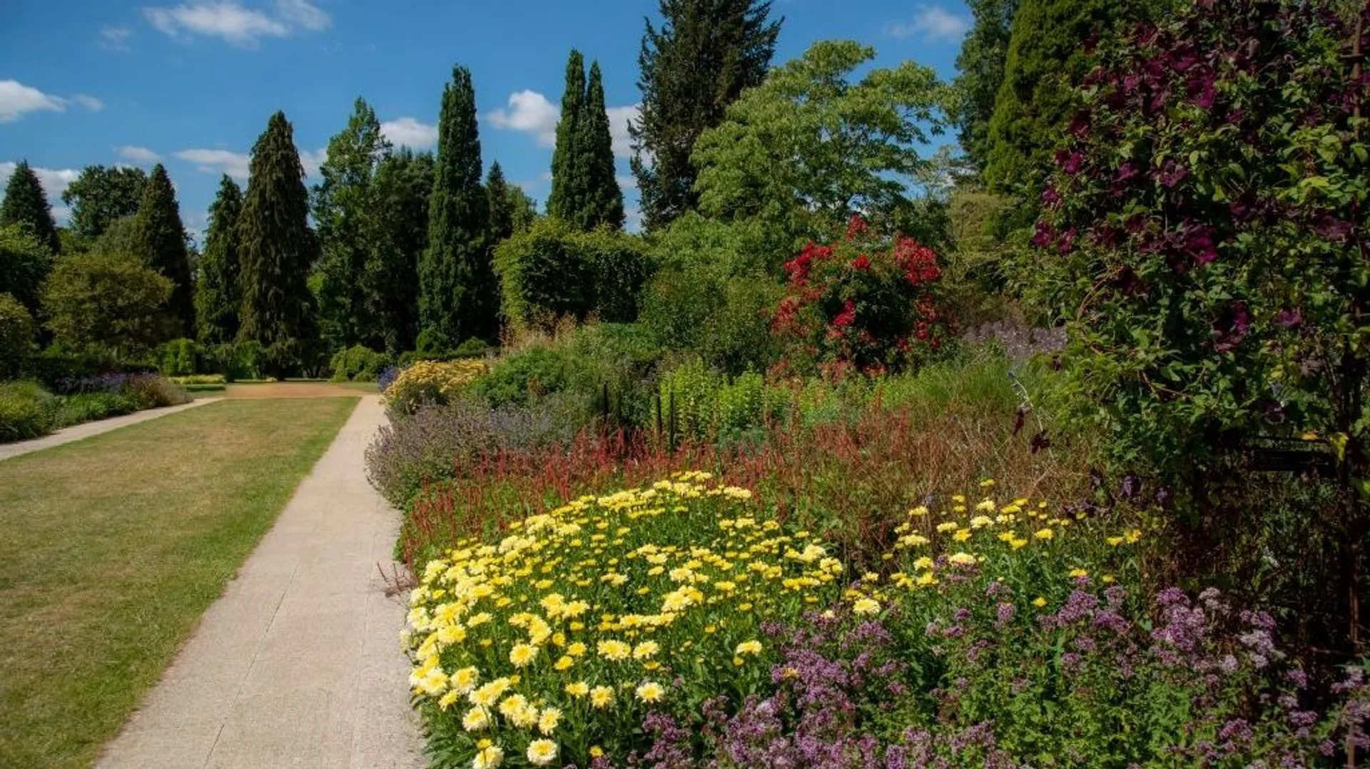 Chelsea Chop : la technique de taille pour des vivaces bien fleuries en ...
