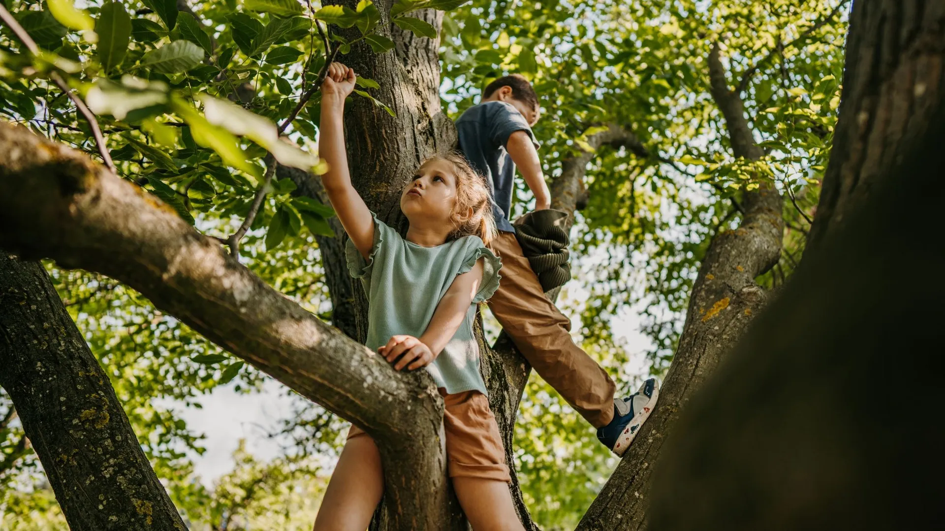 Le baluchon, un centre de nature et créativité en plein centre-ville ...