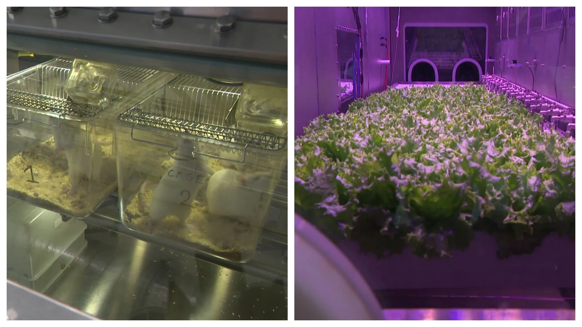 Comment assurer la survie d’un équipage humain sur la planète Mars ? Le ...