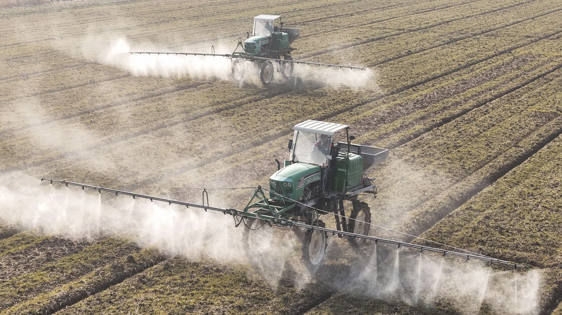 Tiegan rudge porno i was visiting TJ for a couple of days,