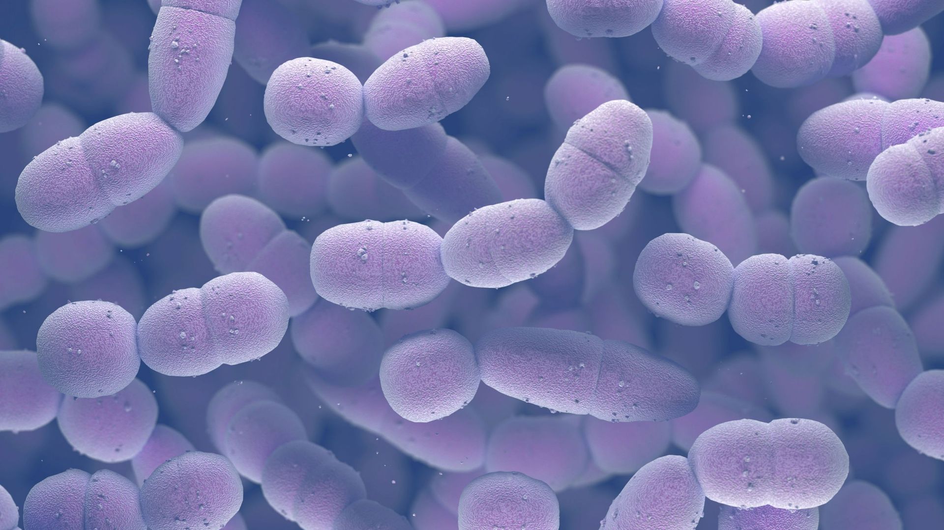 Le CSS recommande la vaccination contre les infections à pneumocoque ...