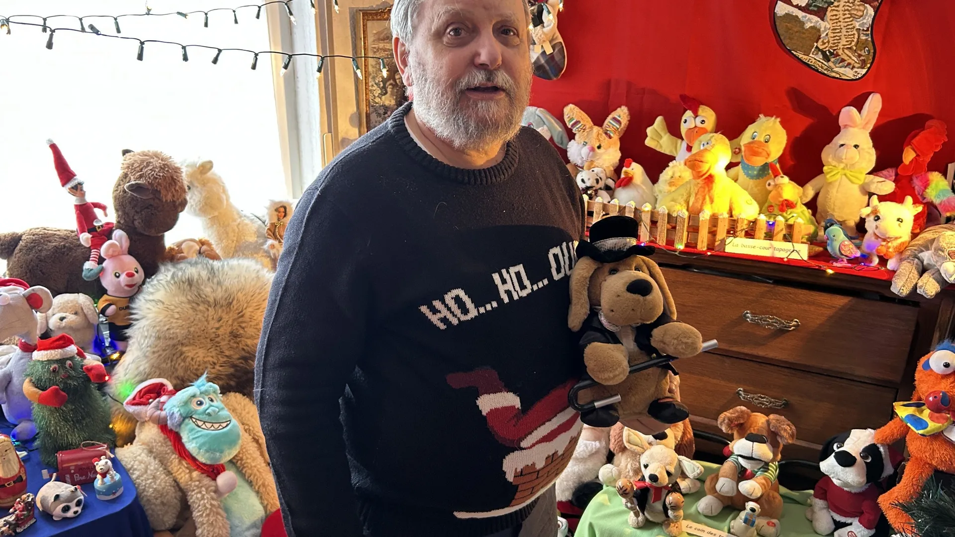 Peluches - RTBF Actus