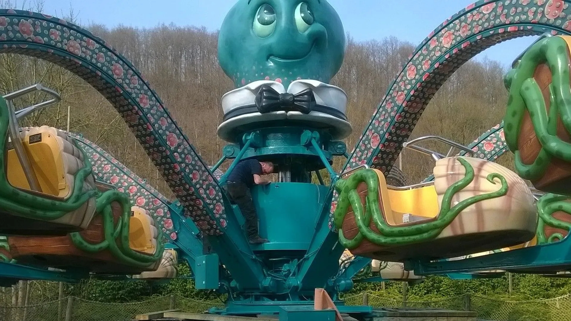 Les ours du parc Forestia vivront en semi-liberté dans un enclos plus ...