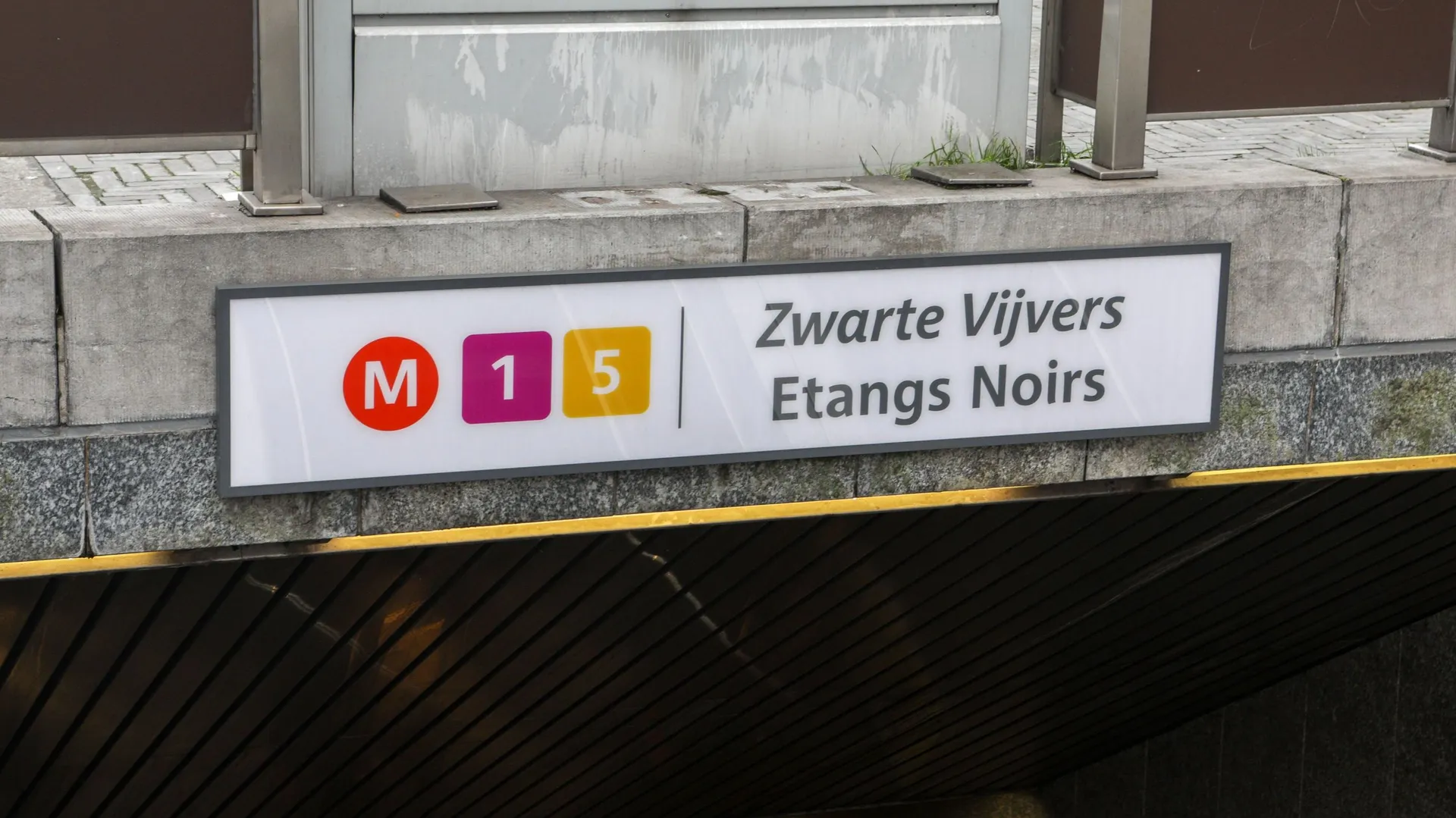 Et si la Terre n’était pas ronde ? Earth Not a Globe, l’exposition qui ...