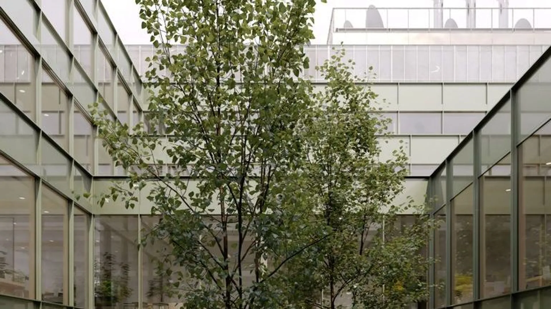 Feu vert pour le nouveau siège de la RTBF à Bruxelles - RTBF Actus