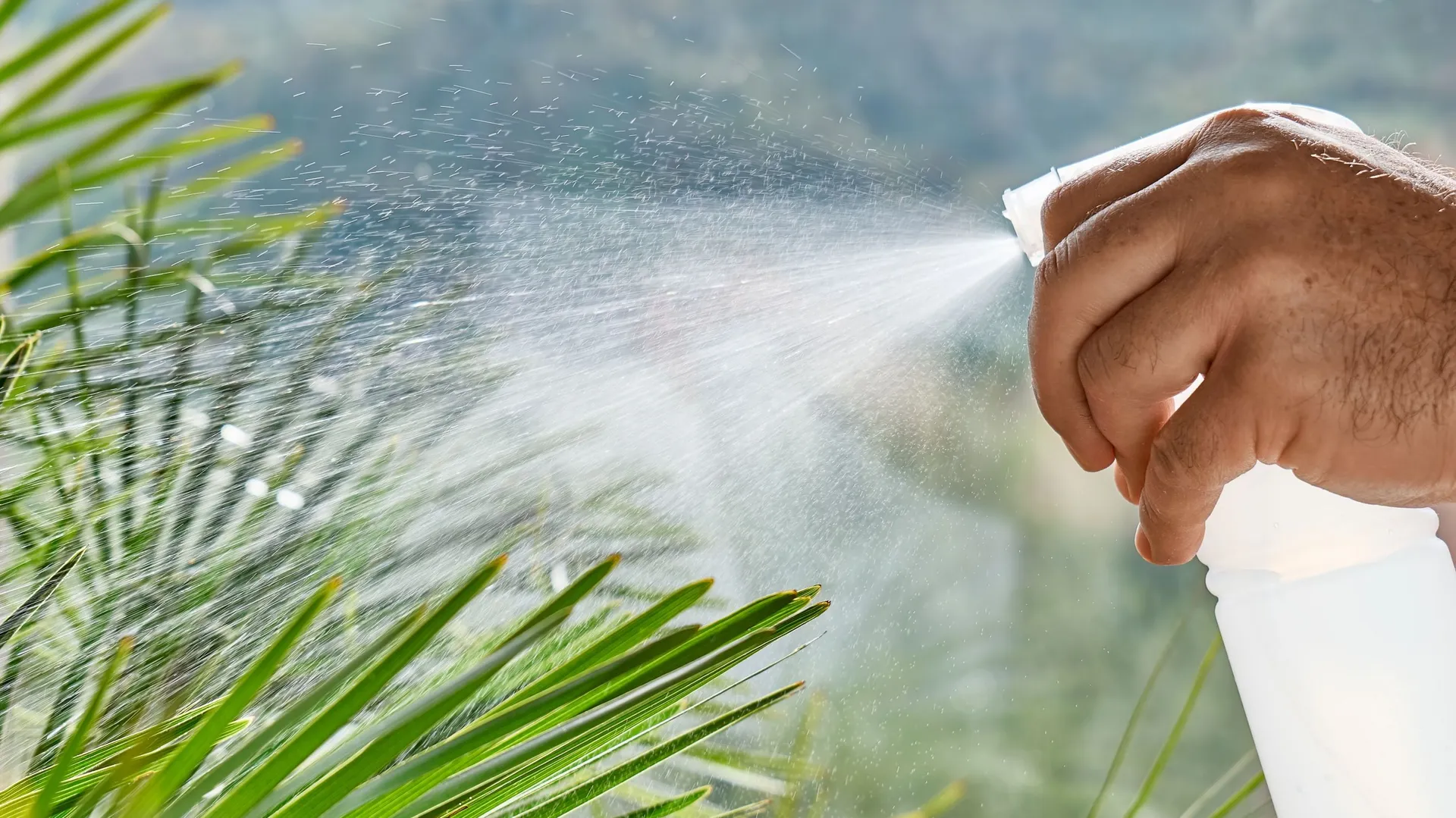 Le programme wallon de réduction des pesticides a atteint 80% de ses ...
