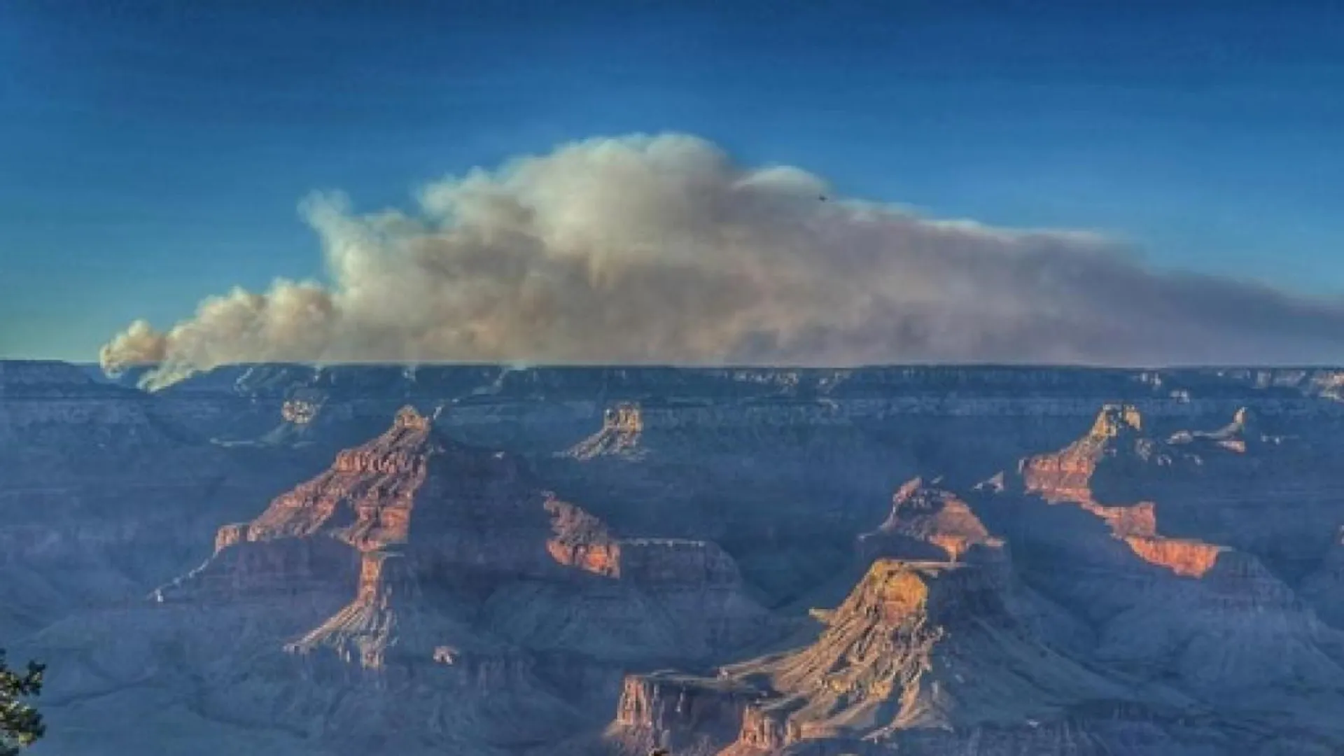 Etats-Unis : 'Canyon Fire', un feu de végétation s’étend en Californie ...