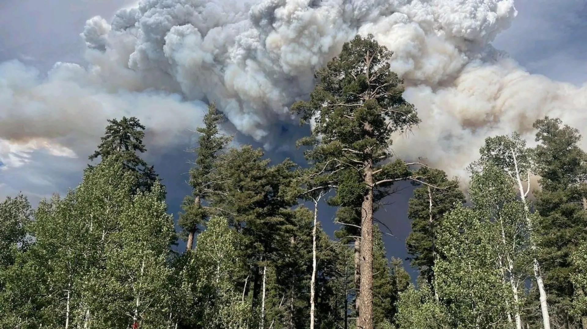 INVICTUS : l’avion spatial hypersonique sera-t-il l'avenir de l'Europe ...