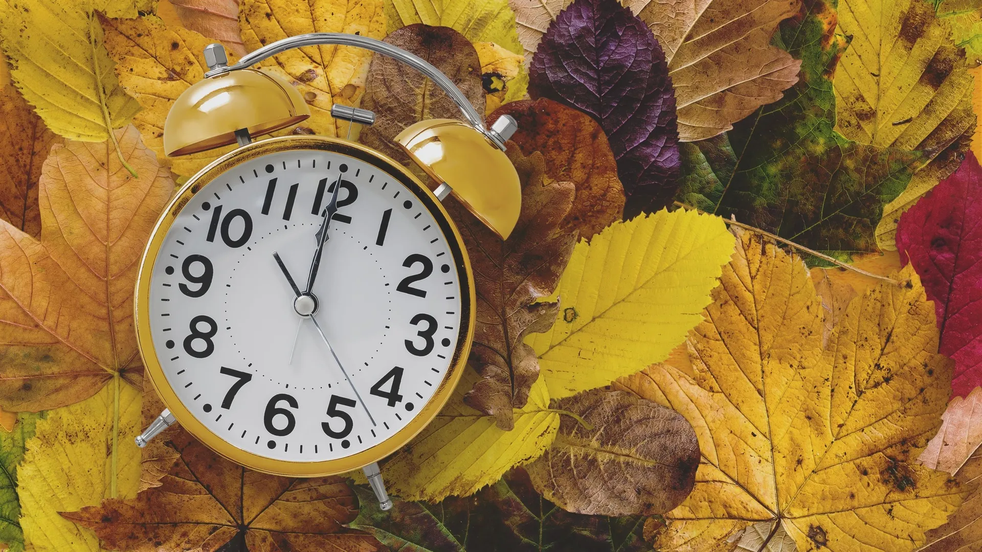 Bruciel: Bruxelles et son urbanisation vue du ciel entre 1930 et 2012 ...