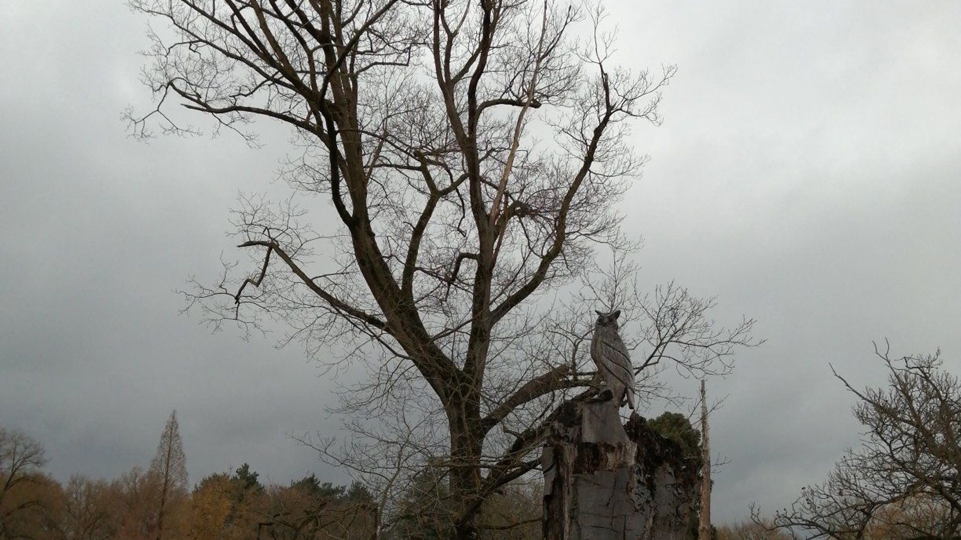 Météo en Belgique : temps gris progressivement sec ce mardi - RTBF Actus
