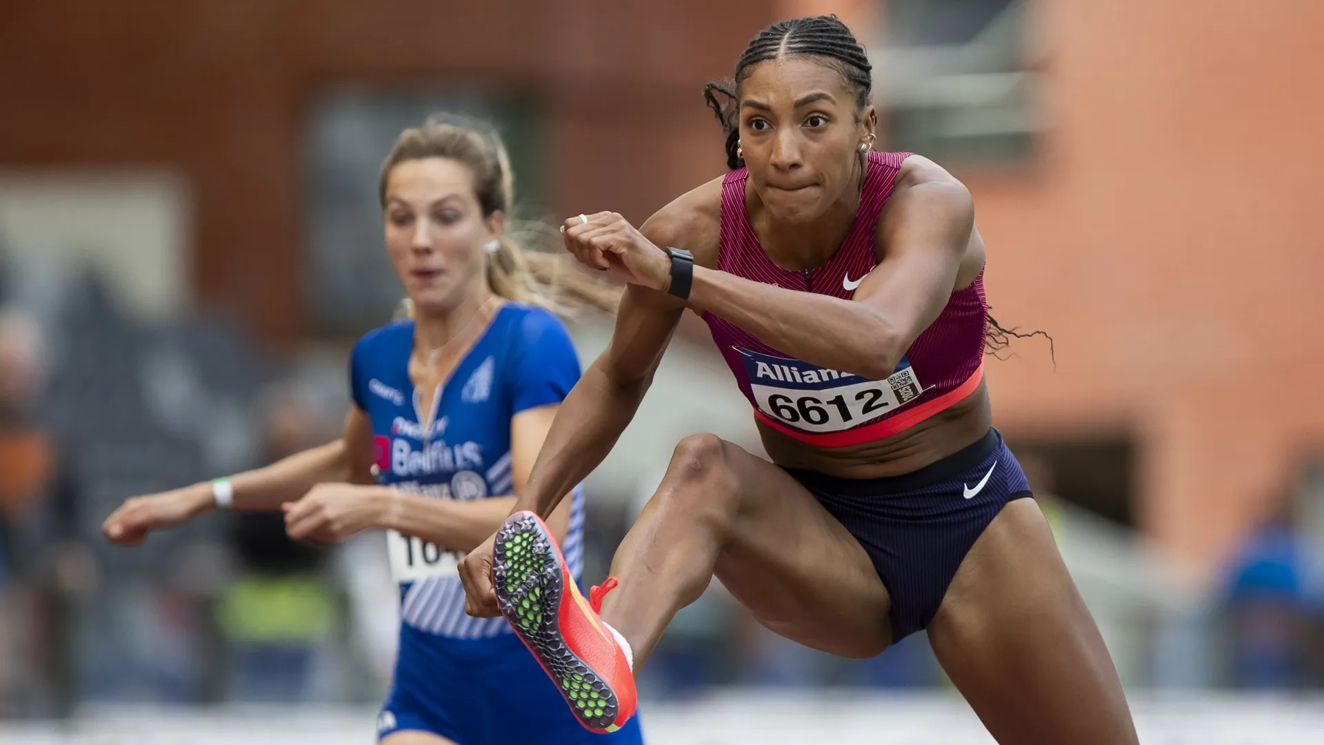 Dix crocodiles retrouvés en Egypte dans une tombe intacte nous révèlent de nouvelles pratiques ...