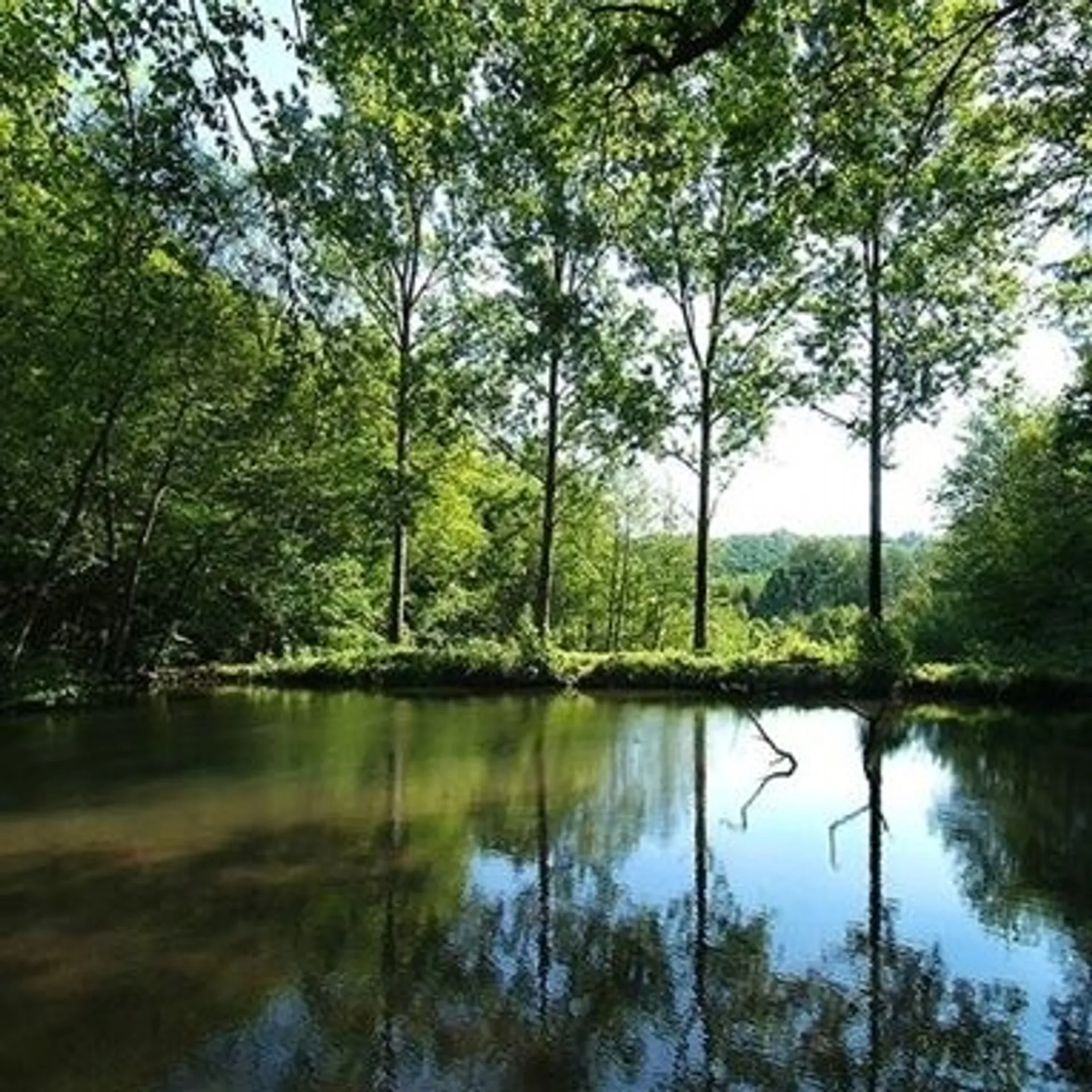 Beau Vélo de RAVeL 2025 : dernière étape à Liège Sart Tilman, ce samedi ...