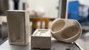 Ces champignons qui brillent dans la nuit : la bioluminescence fongique ...