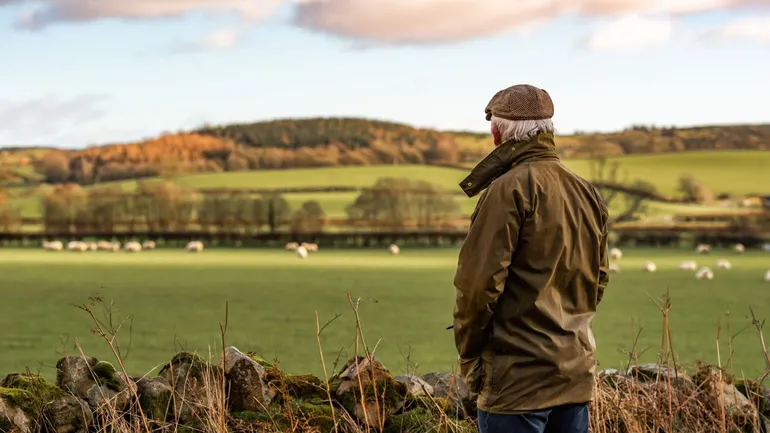 Ces champignons qui brillent dans la nuit : la bioluminescence fongique ...