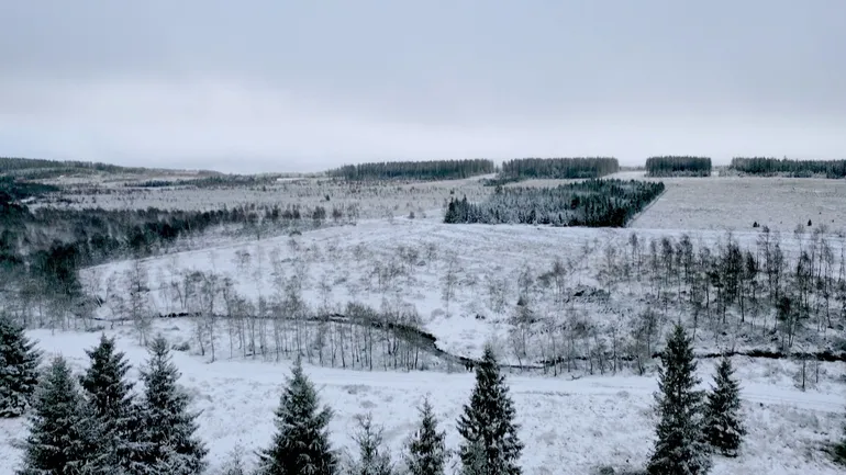 Le livre 'Notre Jardin Extraordinaire, Safaris insoupçonnés près et ...