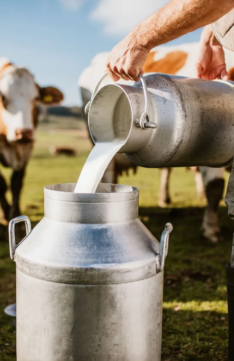 Lait infantile contaminé : du lait infantile bio vendu chez Färm ...