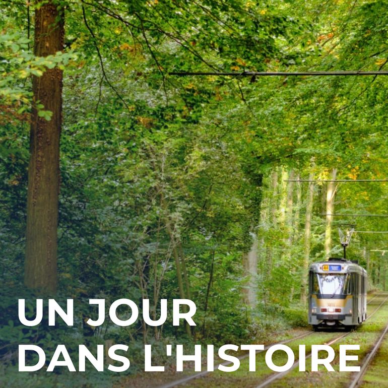 Un Jour dans l'Histoire - La forêt de Soignes - Auvio