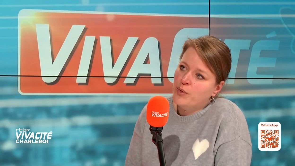384 chats adoptés en 5 ans au Carolo Cat de Charleroi, comment fait-on ...