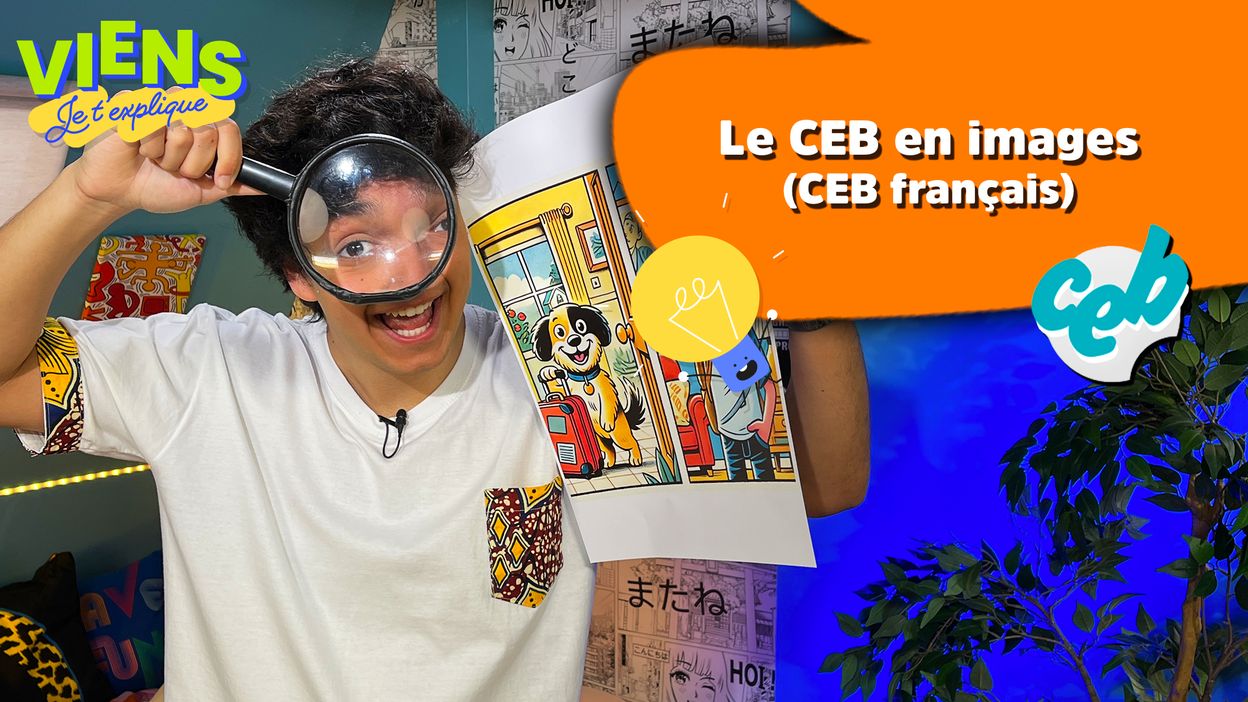 CEB de français : Savoir écrire, écouter ou savoir lire - Voici tous ...