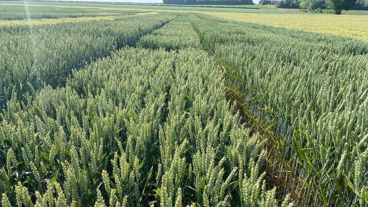 Le Carah à Ath: un centre de recherche et de formation agricoles dont l ...