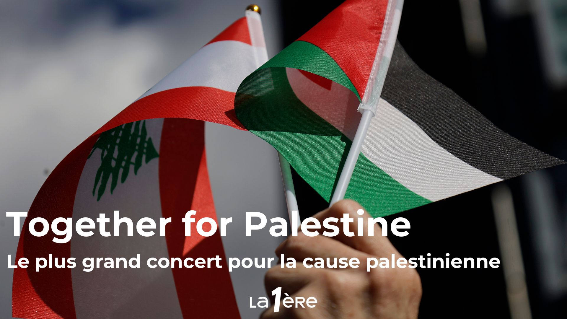L'invité d'Entrez sans frapper - "Together for Palestine", le plus ...