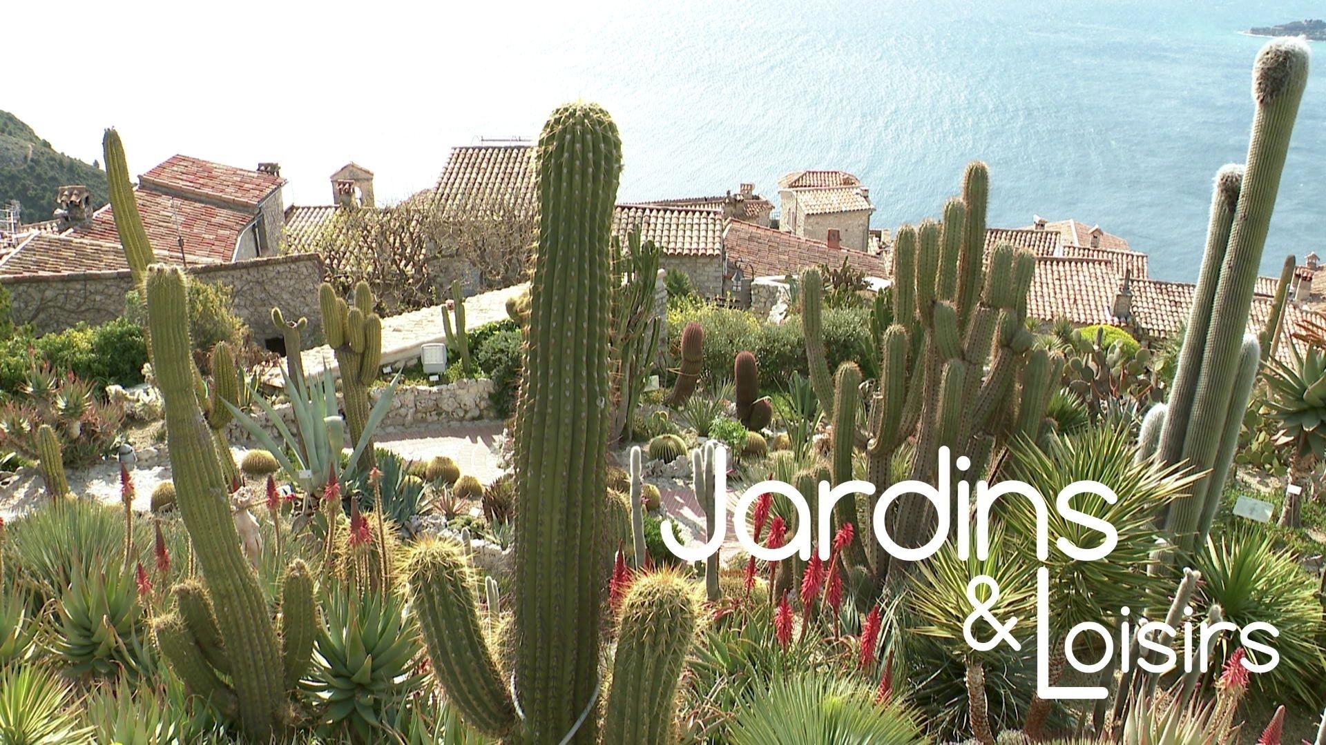 Le Jardin exotique d'Èze - Un paradis terrestre surplombant la ...