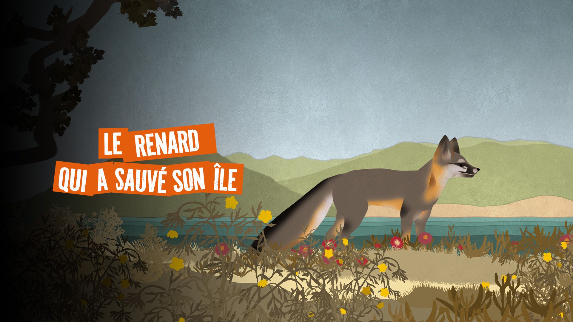 Le renard qui a sauvé son île - L'écosystème de Santa Cruz en fragile ...