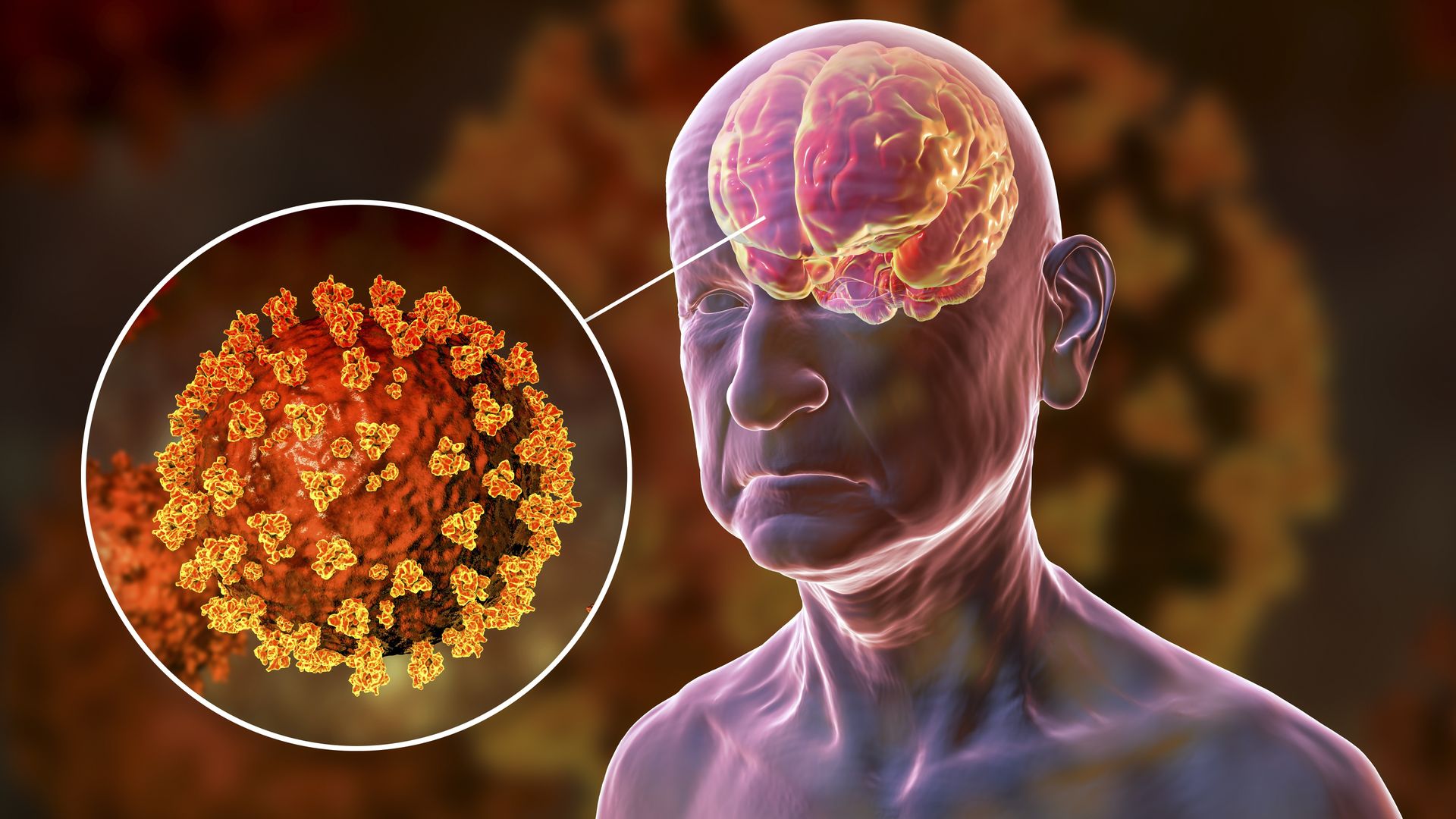 Covid-19 : les plus de 65 ans courent un risque accru de contracter la ...